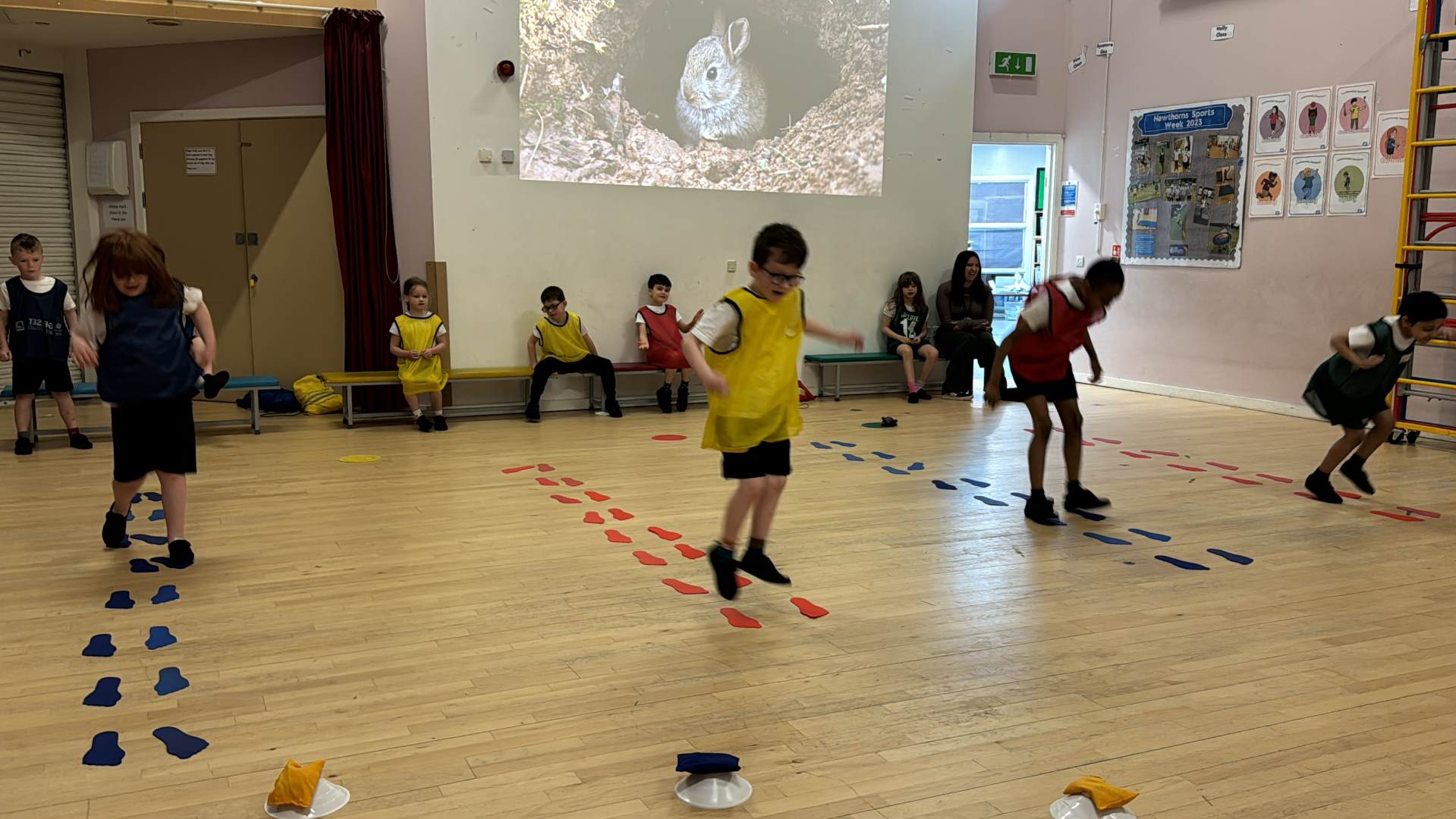 Hawthorns School Physical Education Hawthorns School Physical Education