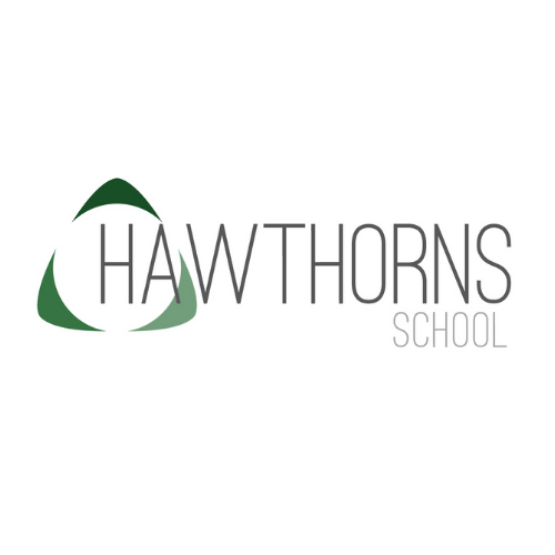Curriculum Approaches - hawthornsschool.org